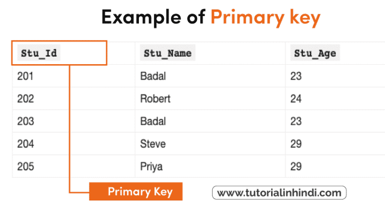 Primary Key in DBMS in Hindi (प्राथमिक कुंजी क्या है) - Tutorial in Hindi